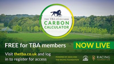 The TBA announces release of the Carbon Calculator